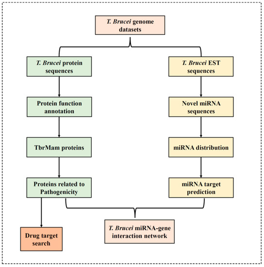 Genome-Wide Screening for Pathogenic Proteins and microRNAs Associated ...