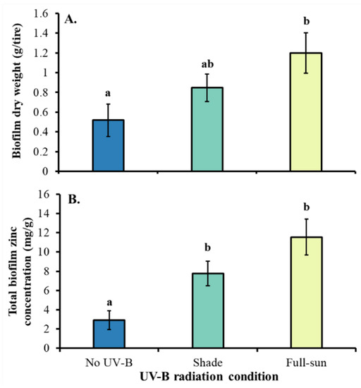 The Role of Tire Leachate in Condition-Specific Competition and the ...