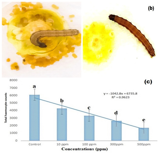Larvicidal and Antifeedant Effects of Copper Nano-Pesticides against ...