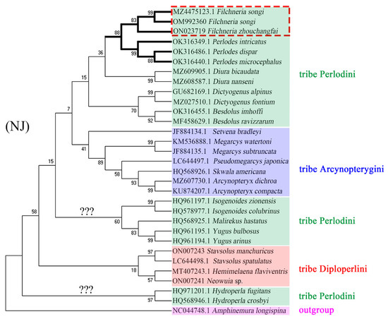 New Synonym and New Species Record of Filchneria (Plecoptera ...