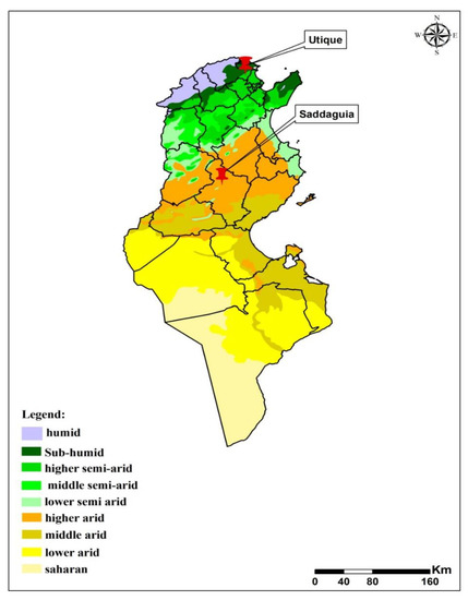 Investigation of the Sandfly Fauna of Central Arid Areas and Northern ...