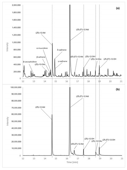 Insects | Special Issue : Chemical Communication in Insects: New ...