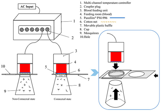 Study of the Repellent Activity of 60 Essential Oils and Their Main ...