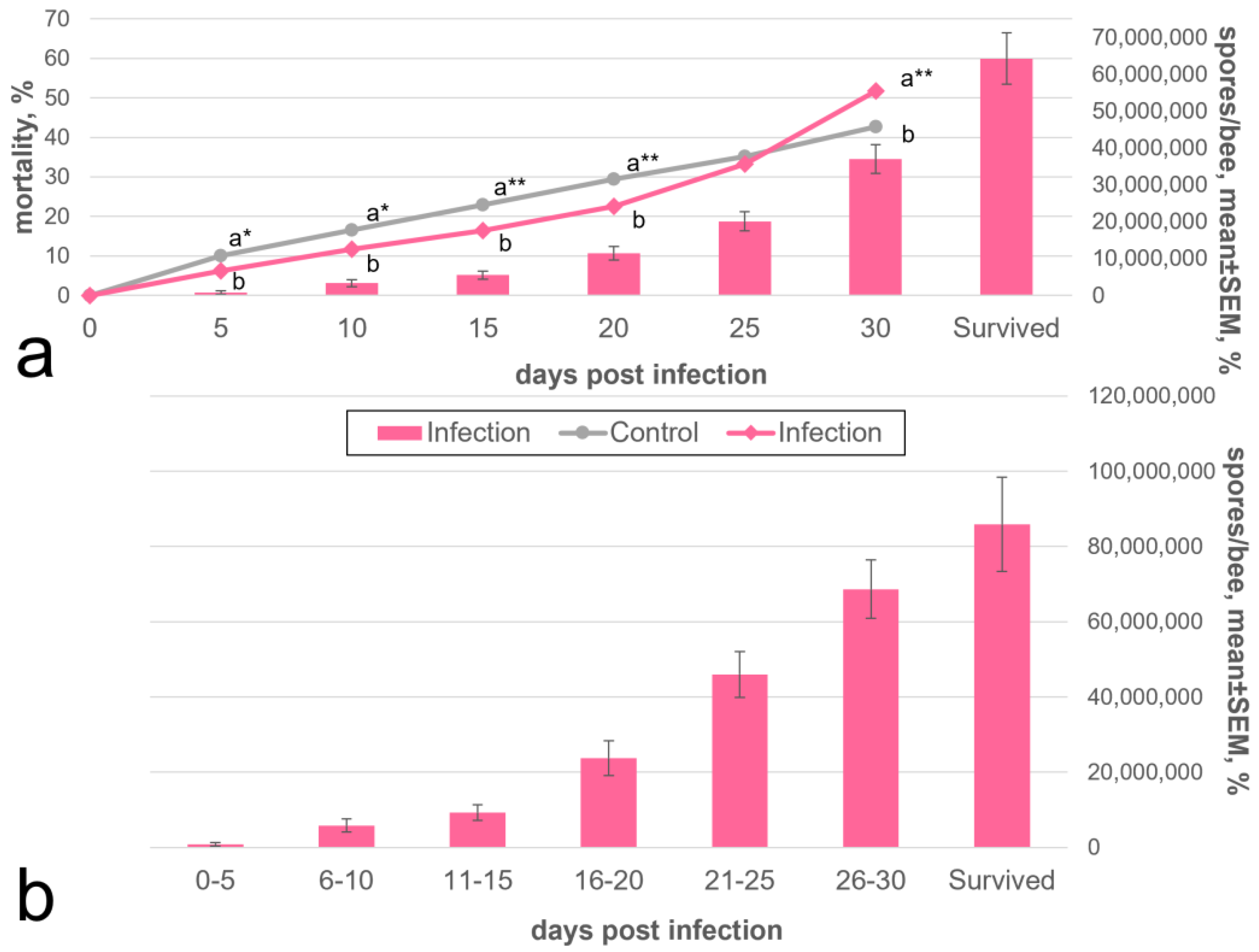Laboratory Cultivation of Vairimorpha (Nosema) ceranae (Microsporidia ...