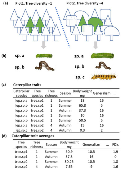 Leaf Nutritional Content, Tree Richness, and Season Shape the ...