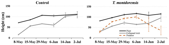 Control of Aculops lycopersici with the Predatory Mite Transeius ...