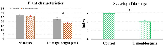 Control of Aculops lycopersici with the Predatory Mite Transeius ...