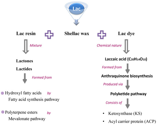 Unraveling the Role of Lac Insects in Providing Natural Industrial Products