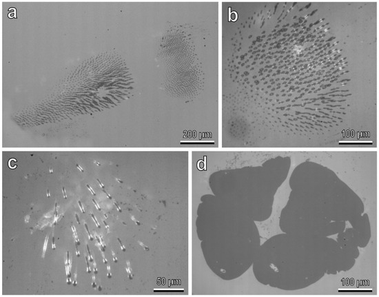 Effect of Leaf Trichomes in Different Species of Cucurbitaceae on ...