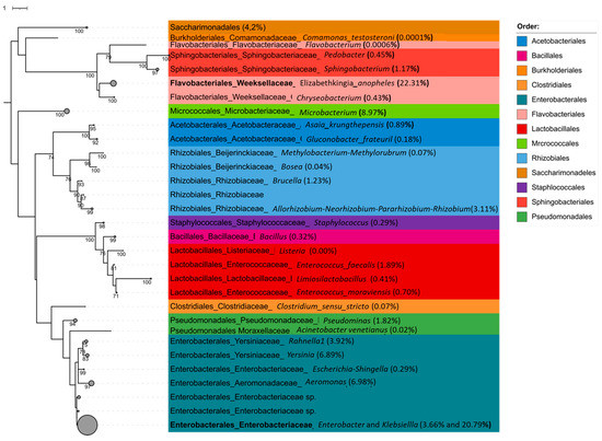 Marked Effects of Larval Salt Exposure on the Life History and Gut ...