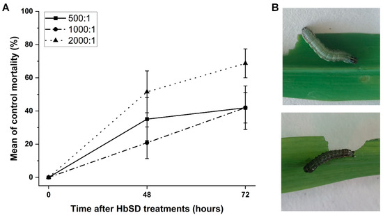 Potential of Entomopathogenic Nematode HbSD as a Candidate Biocontrol ...