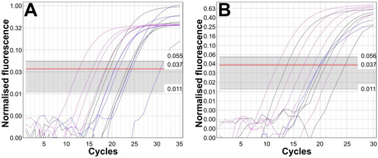 Cost-Effective PCR-Based Identification of Tunga penetrans ...