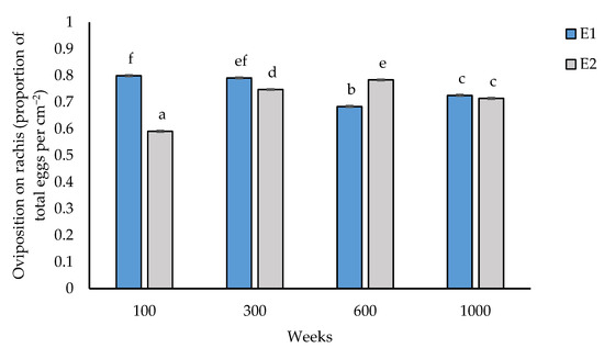 Impact of Initial Population Density of the Dubas Bug, Ommatissus ...