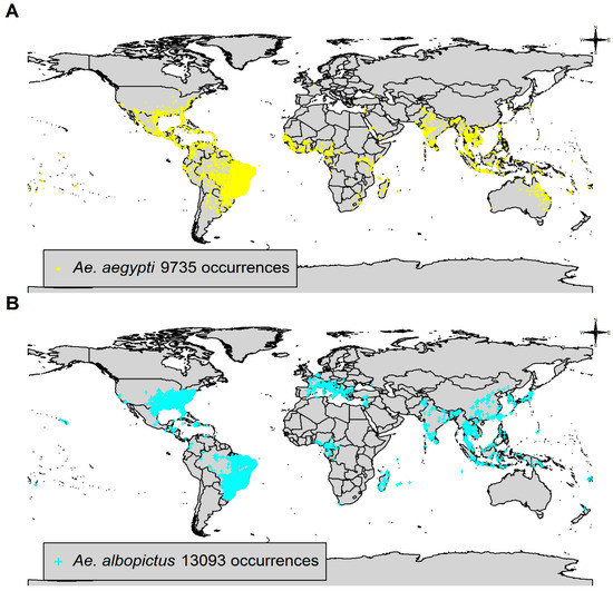 Global Distribution of Aedes aegypti and Aedes albopictus in a Climate Change Scenario of ...