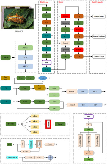 A New Pest Detection Method Based on Improved YOLOv5m