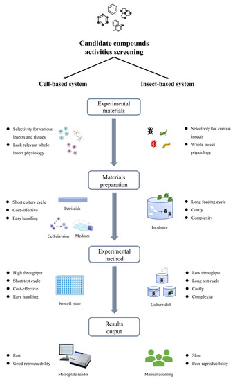 Insect Cell-Based Models: Cell Line Establishment and Application in ...