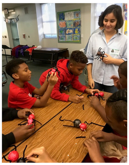 Are Ants Good Organisms to Teach Elementary Students about Invasive ...