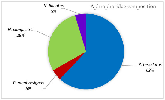 Insects | Free Full-Text | Aphrophoridae as Potential Vectors of ...