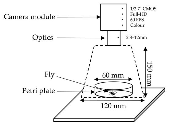 A Deep-Learning-Based Detection Approach for the Identification of ...