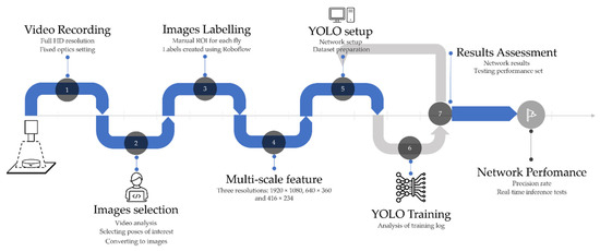 A Deep-Learning-Based Detection Approach for the Identification of ...