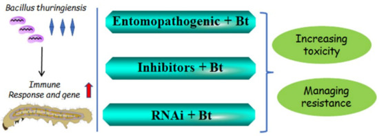 Involvement of an Enhanced Immunity Mechanism in the Resistance to ...