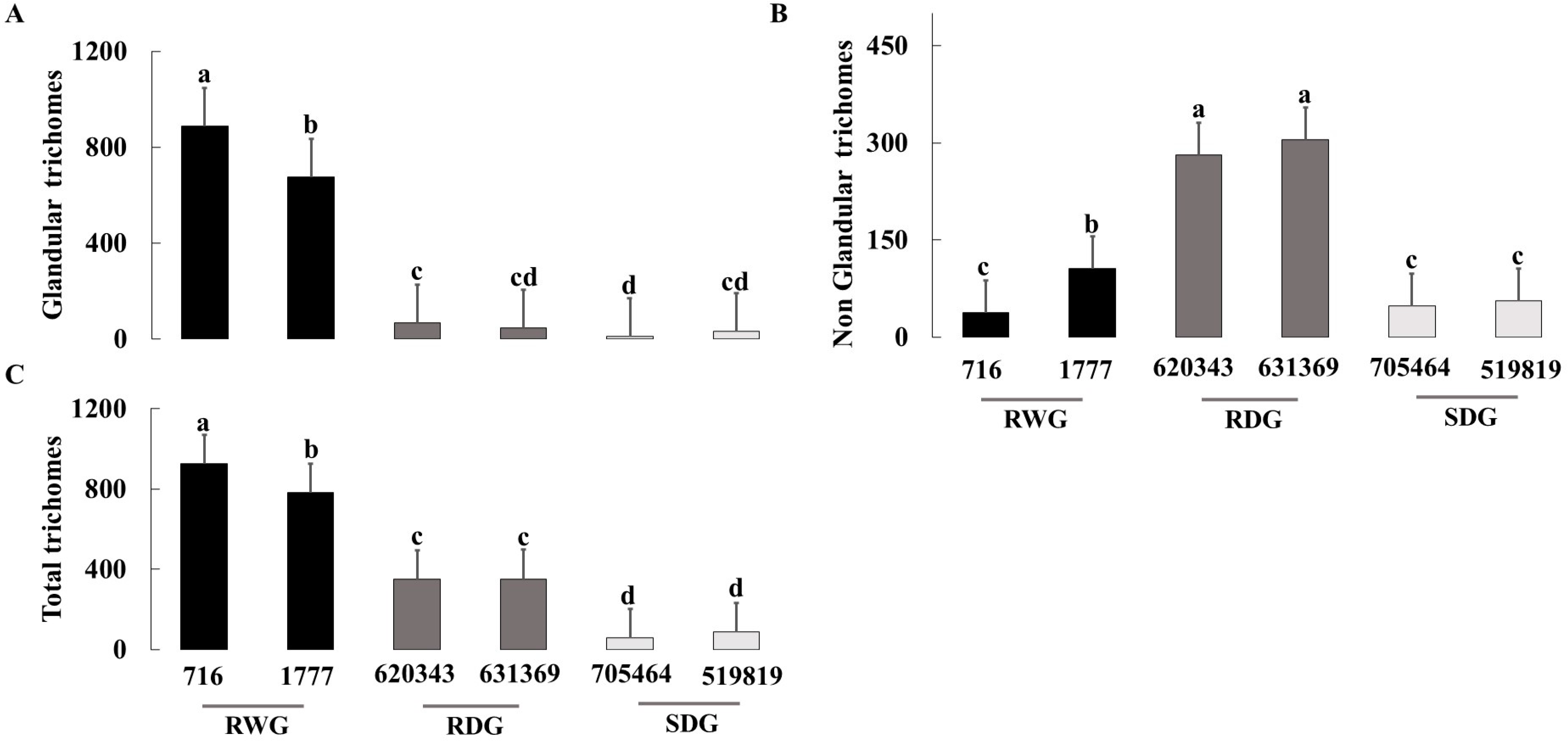 Negative Effects of Phthorimaea absoluta-Resistant Tomato Genotypes on ...