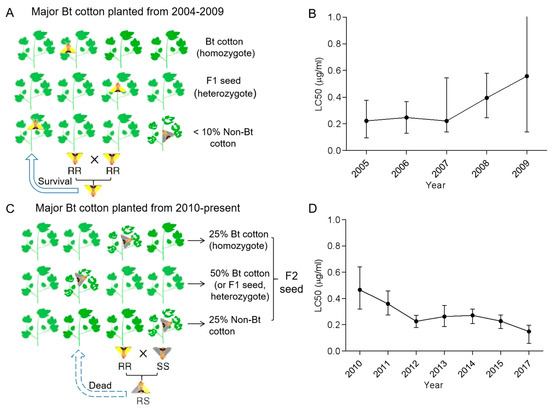 Managing Practical Resistance of Lepidopteran Pests to Bt Cotton in China