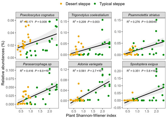 Patterns and Drivers of Aboveground Insect Diversity along Ecological ...
