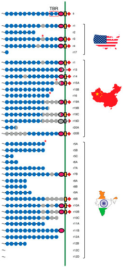 Molecular Genetic Basis of Lab- and Field-Selected Bt Resistance in ...