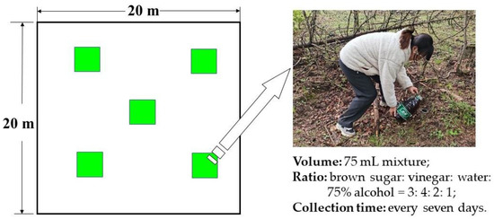 Effects of Environmental Factors on the Spatial Distribution Pattern ...