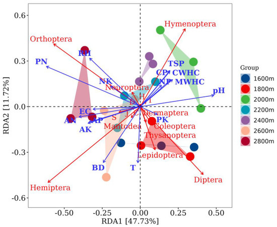 Effects of Environmental Factors on the Spatial Distribution Pattern ...