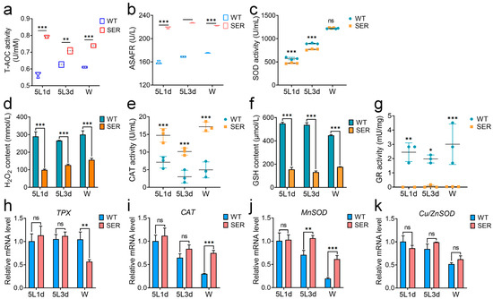 Sericin Ser3 Ectopic Expressed in Posterior Silk Gland Affects ...