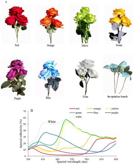 Colour Selection and Olfactory Responses of Papilio demoleus during ...