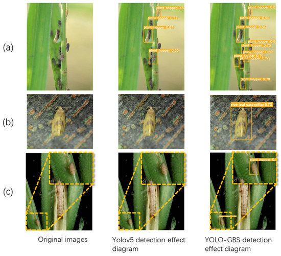 Detection of Rice Pests Based on Self-Attention Mechanism and Multi ...