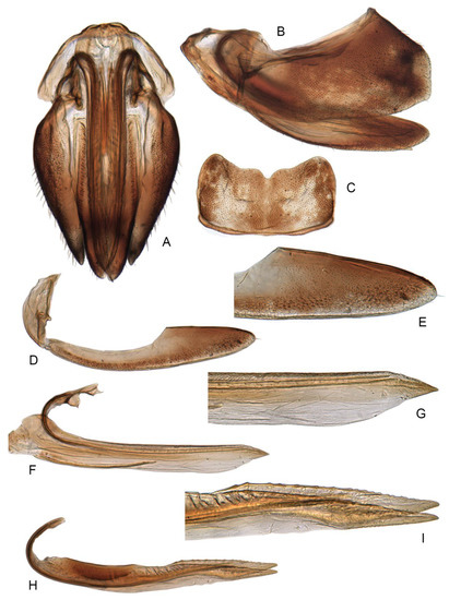 Insects | Free Full-Text | Phylogenetic Analysis of the Genus ...