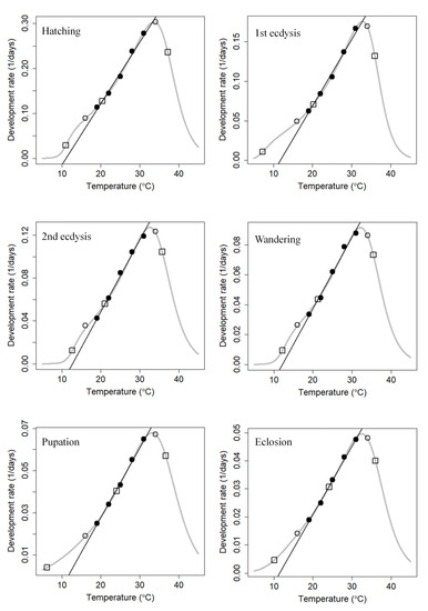Temperature-Dependent Development of Nitidula rufipes (Linnaeus, 1767 ...