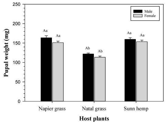 Life Table Study of Fall Armyworm (Spodoptera frugiperda) (Lepidoptera ...