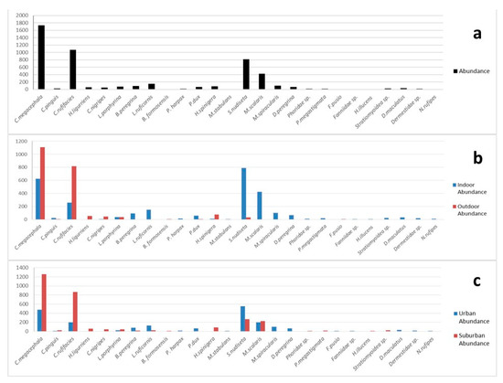 The Study of Forensically Important Insects Recovered from Human ...