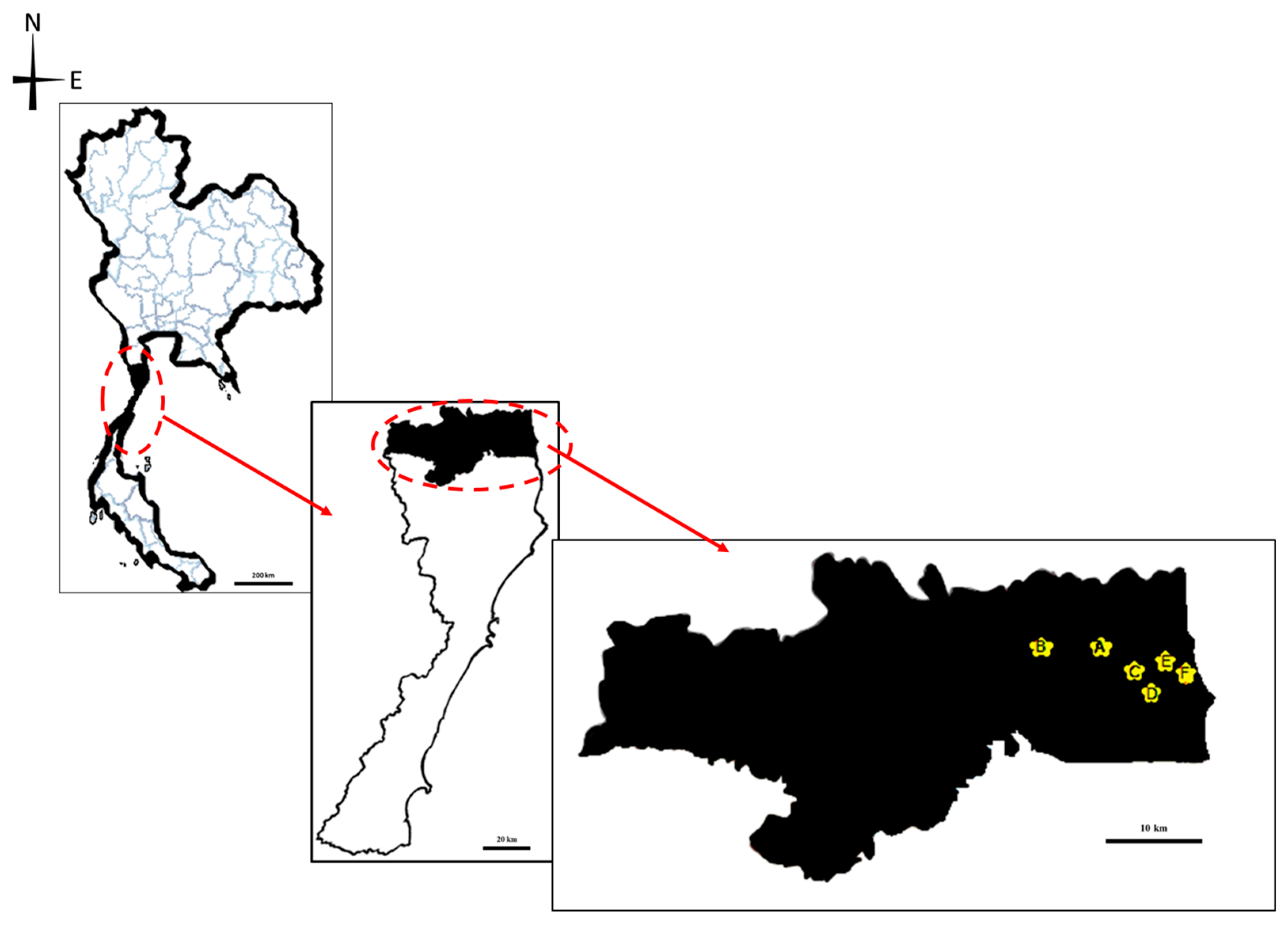 Llanos Location