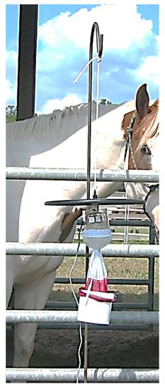 Comparison of Trap and Equine Attraction to Mosquitoes