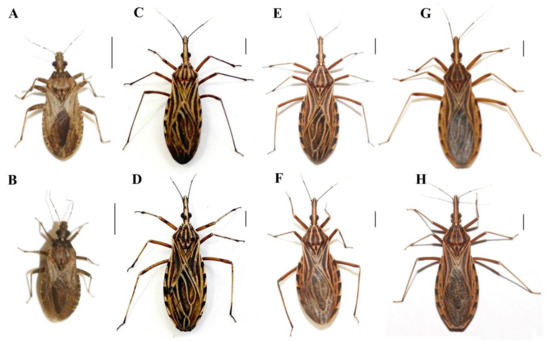Climate and Environmental Changes and Their Potential Effects on the ...