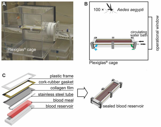 Mosquito Blood Feeding Prevention Using an Extra-Low DC Voltage Charged ...