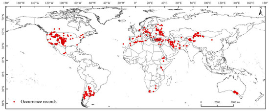 Estimating the Global Geographical Distribution Patterns of the ...