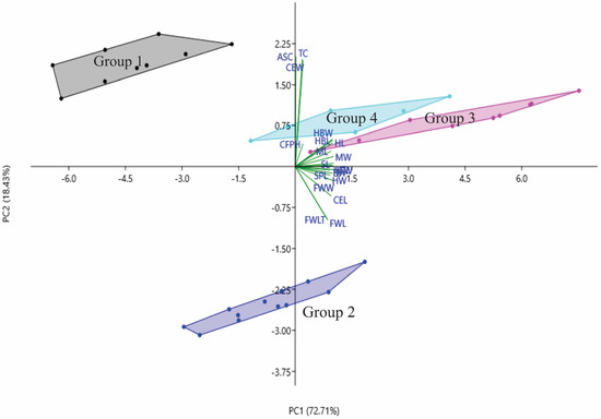 Phylogenetic and Morphological Characteristics Reveal Cryptic ...