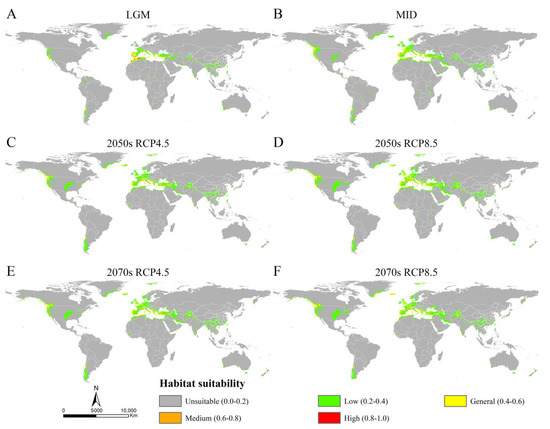 Insects | Free Full-Text | Climate Change Impacts on the Potential ...