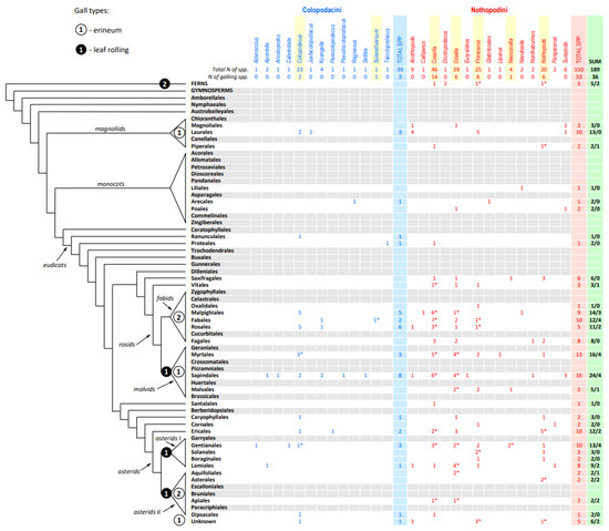 Integrative Taxonomy of the Gall Mite Nothopoda todeica n. sp ...