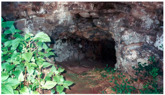 Collembola of the Cavalum and Landeiro Caves (Madeira, Portugal)