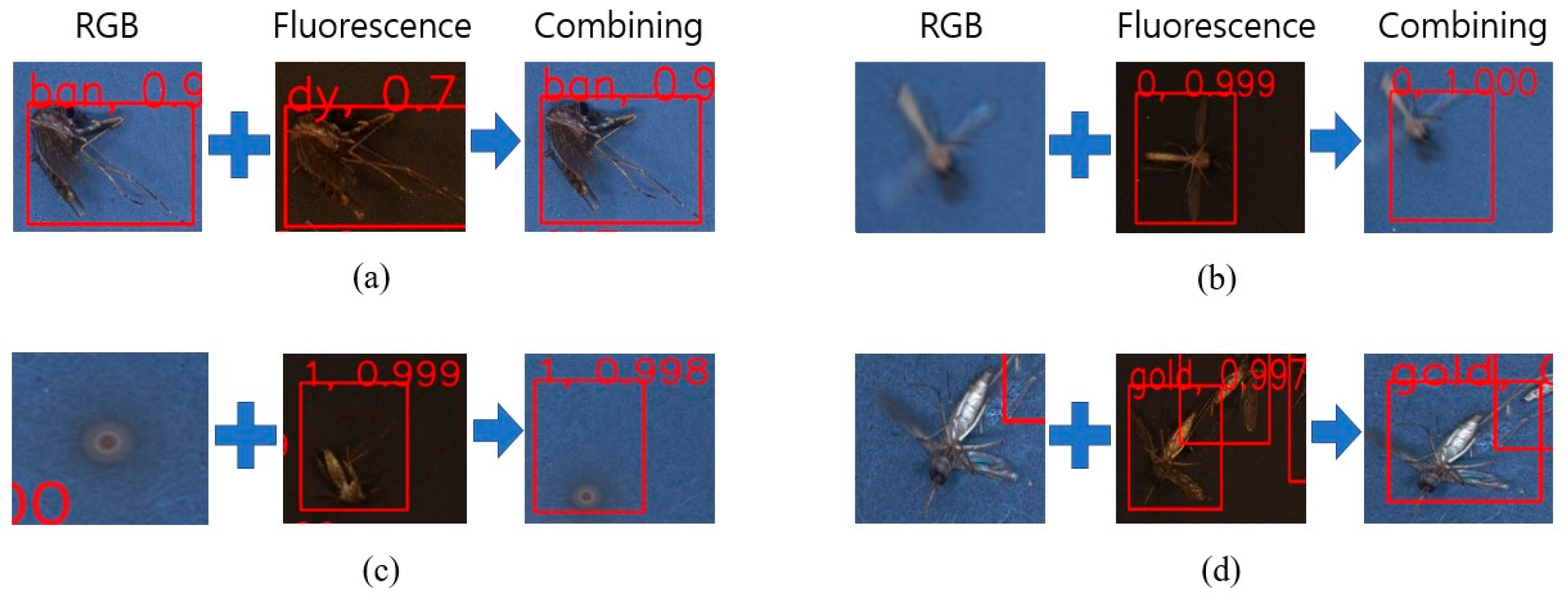 Deep Learning-Based Image Classification for Major Mosquito Species ...