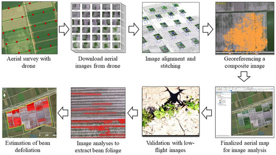 Rapid Assessment of Insect Pest Outbreak Using Drones: A Case Study ...