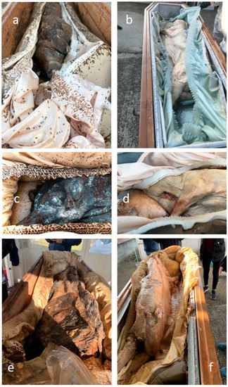 Insect Colonisation and the Decomposition Process in Aerated versus ...